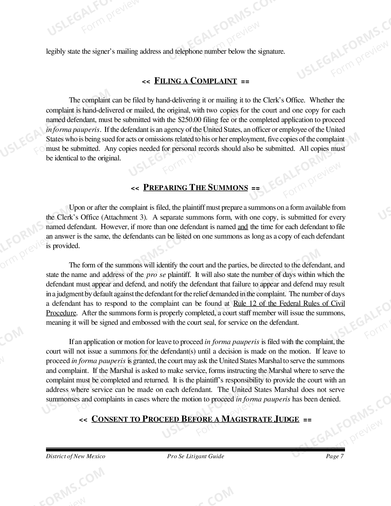 New Mexico Guide for Pro Se Litigants - Can Pro Se Litagants File In ...