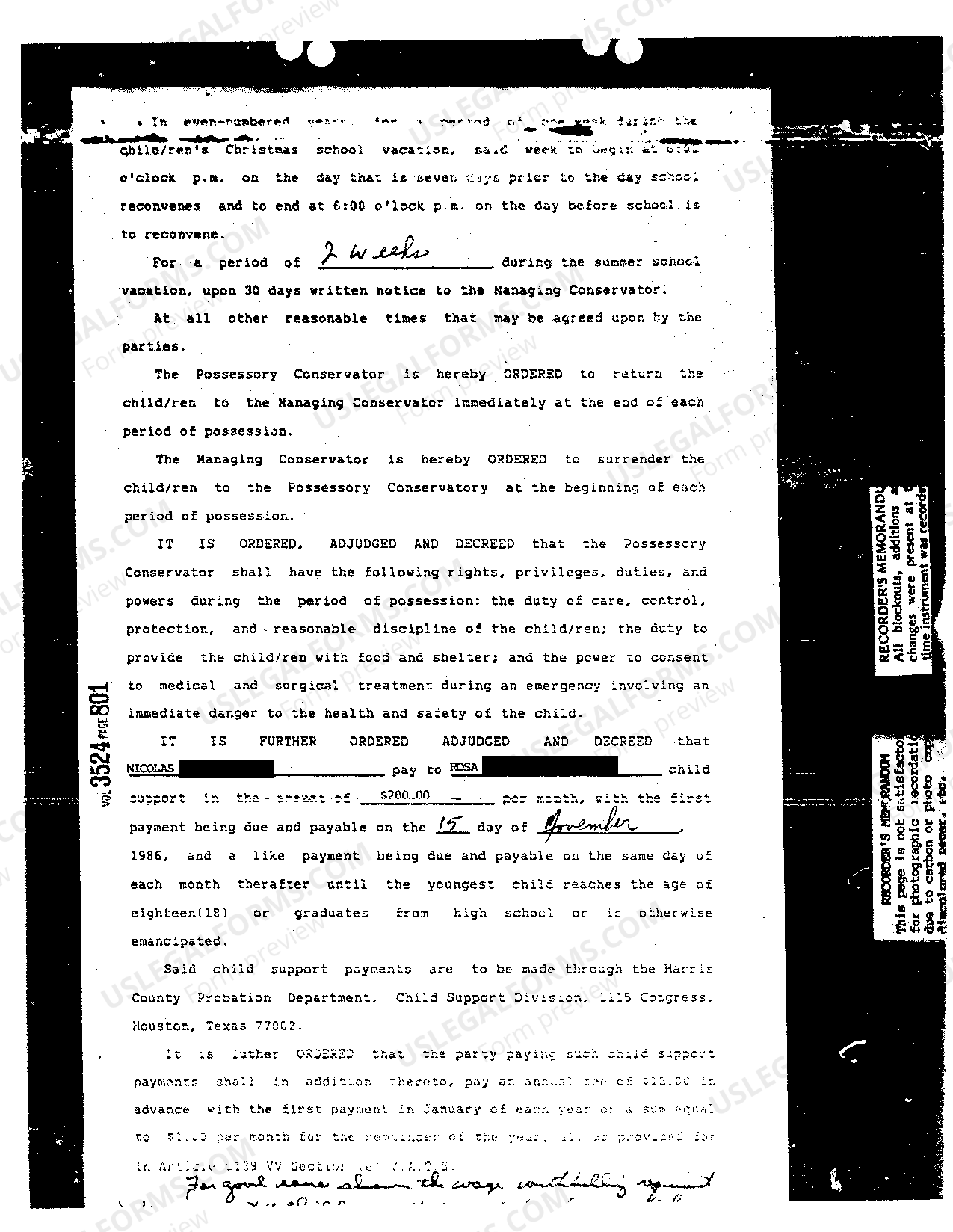 Texas Original Petition for Declaratory Judgment regarding Child ...